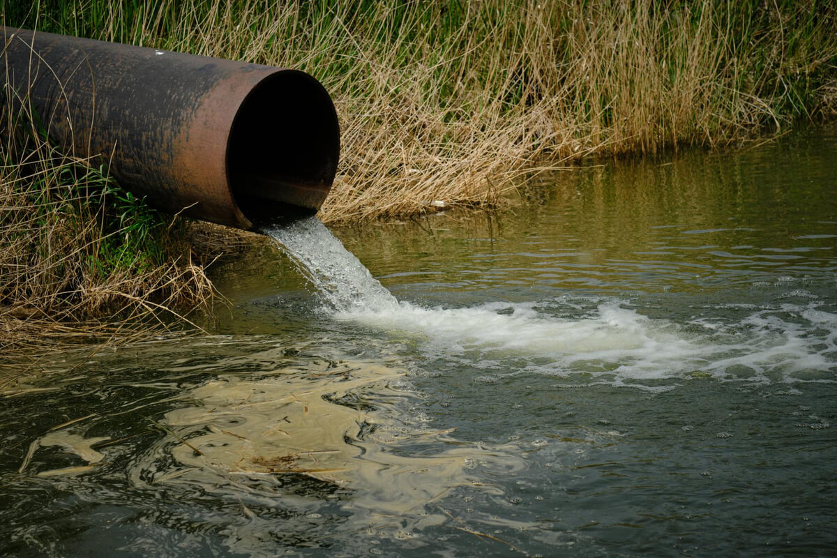 📋 NGT rules for sewage treatment plants - The Local Brief