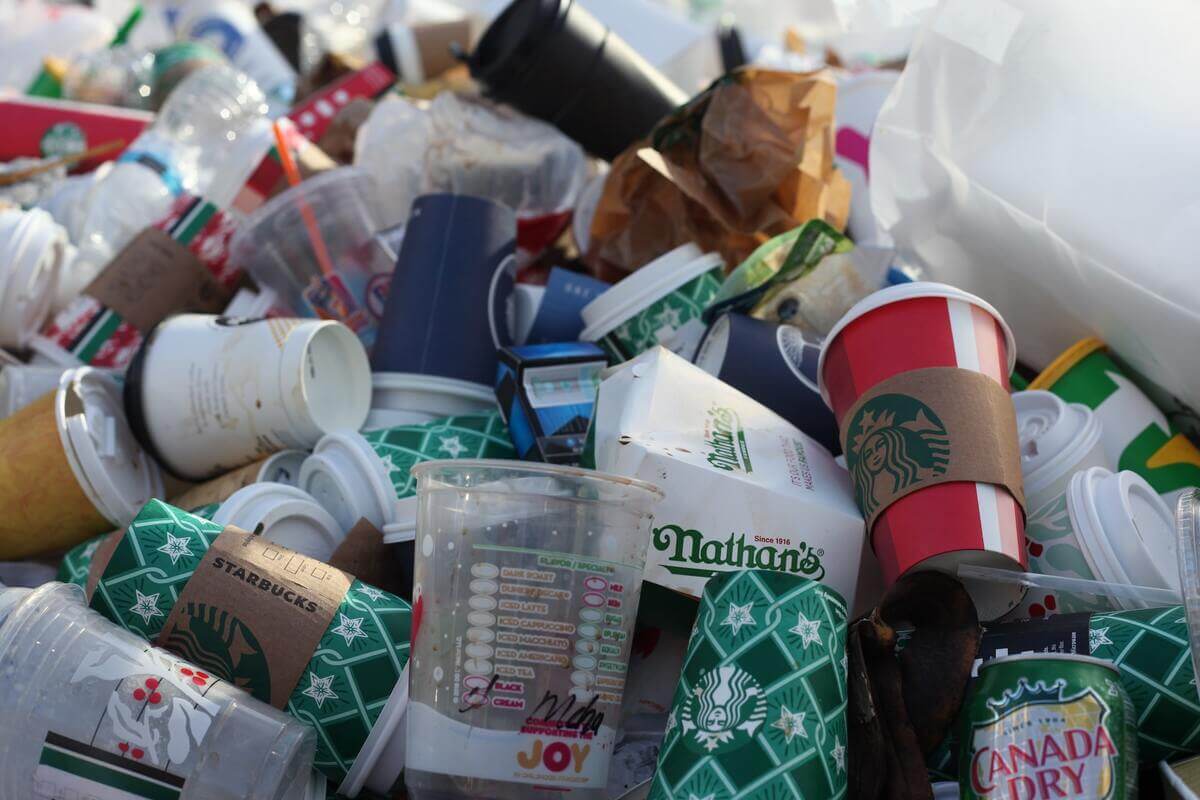 🚯 Monitoring waste-dumping hotspots - The Local Brief